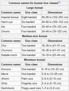 Bonsai Sizes!!! | Bonsai Eejit