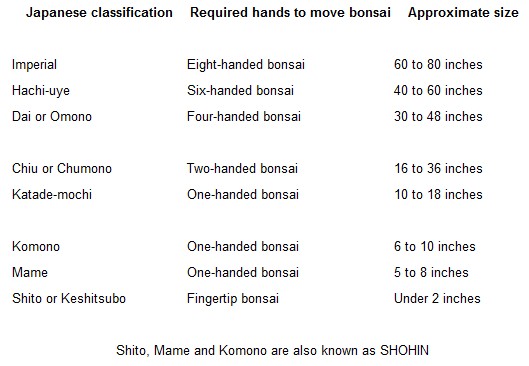 Bonsai Sizes!!! | Bonsai Eejit