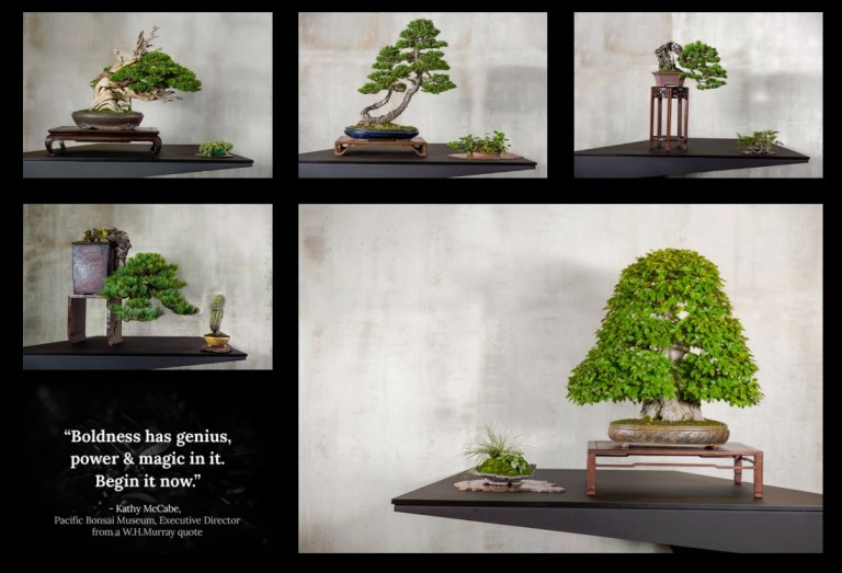 True Bonsai Artisans | Bonsai Eejit