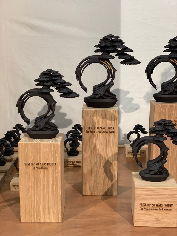 Trophy Trees | Bonsai Eejit