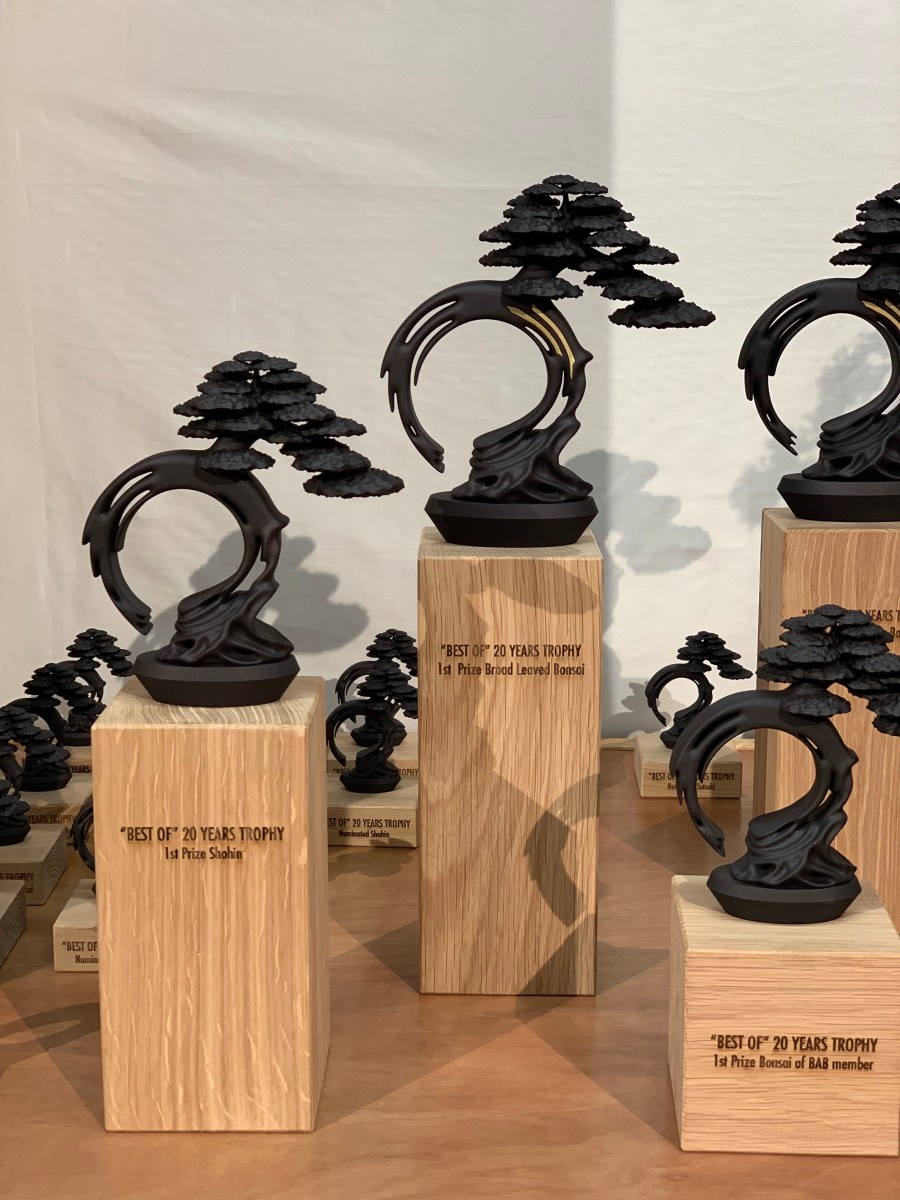 Trophy Trees | Bonsai Eejit