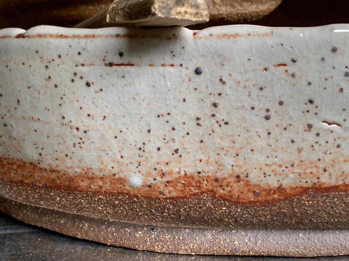 Jackson Conn Ceramics | Bonsai Eejit